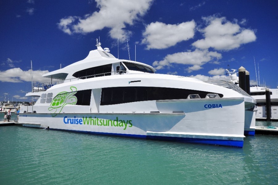 Whitehaven Beach Half Day Tour from Airlie Beach - Morning Cruise | CW ...