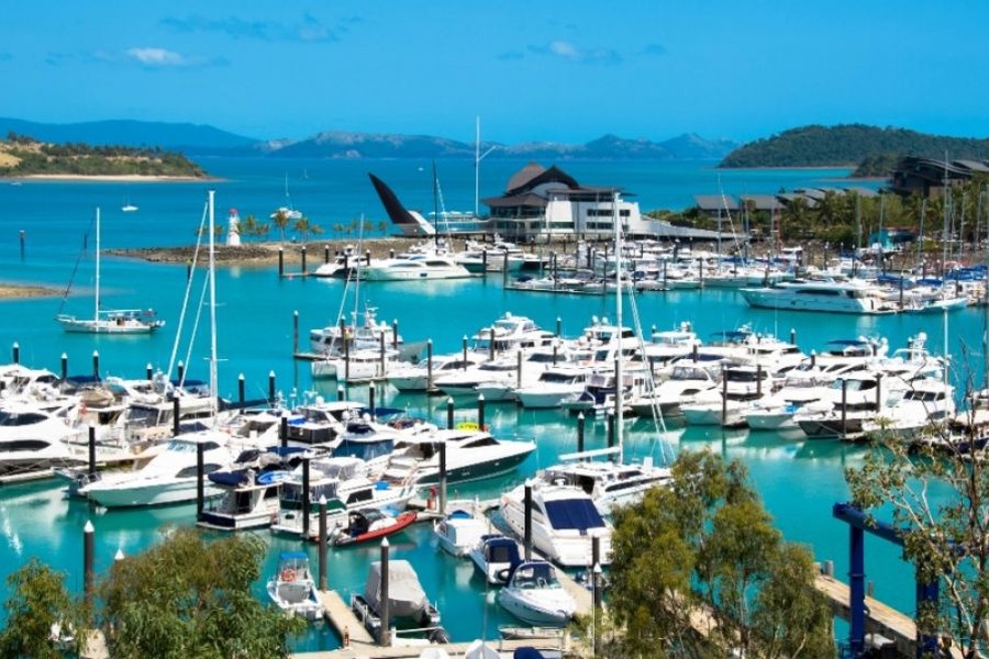 Great Barrier Reef Tour From Hamilton Island | CW - Sailing Whitsundays