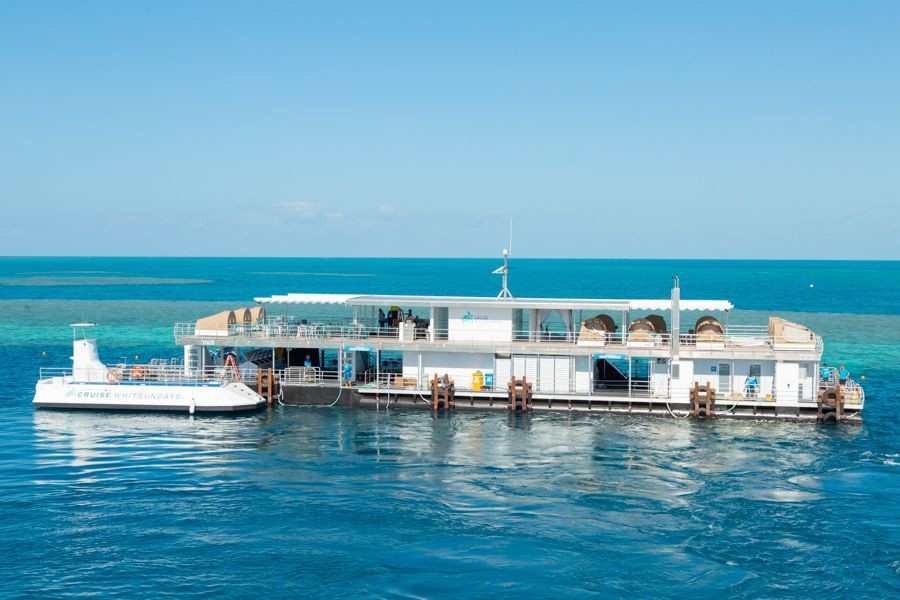 Great Barrier Reef Tour From Hamilton Island | CW - Sailing Whitsundays
