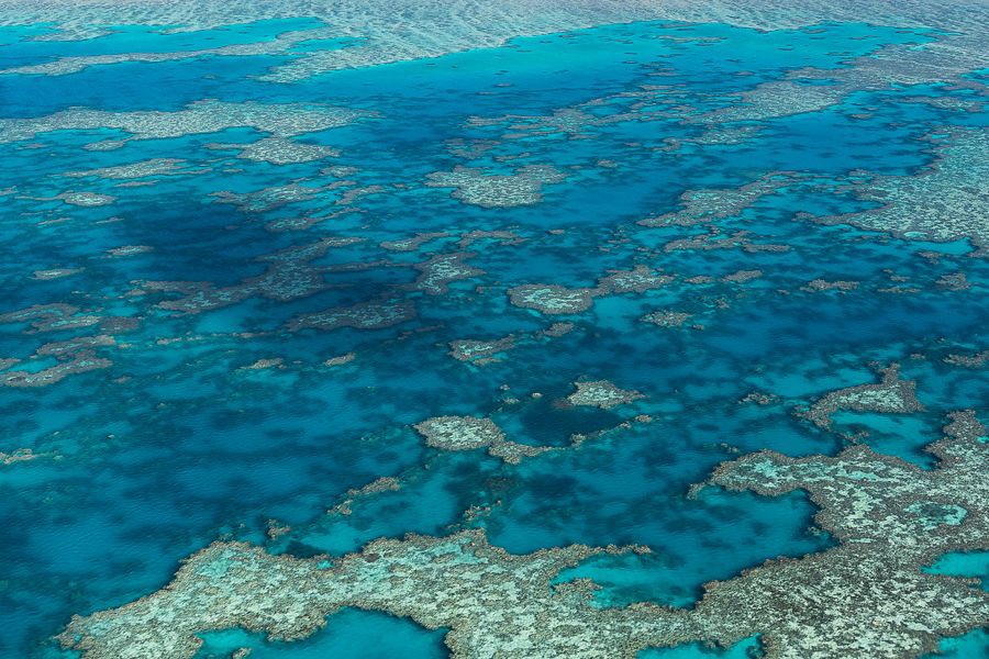 Reefsleep Premium Great Barrier Reef Experience - Sailing Whitsundays