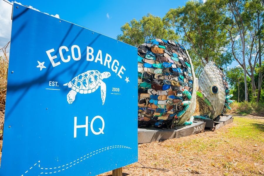 Whitsundays Sea Turtle Rescue Eco Tour - Sailing Whitsundays