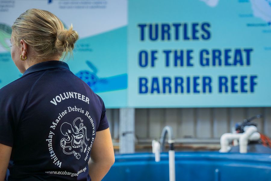 Whitsundays Sea Turtle Rescue Eco Tour - Sailing Whitsundays