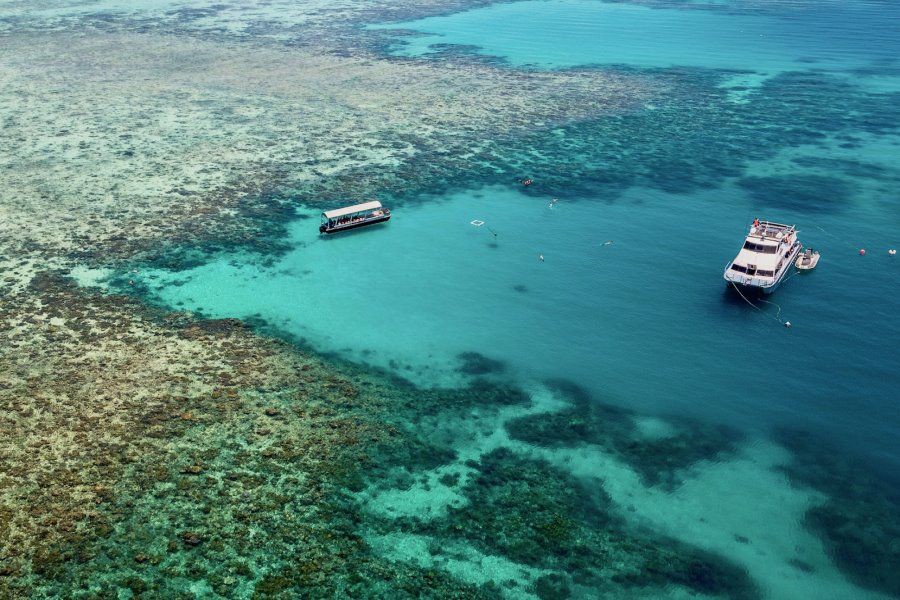 Ocean Freedom - Cairns-Tours